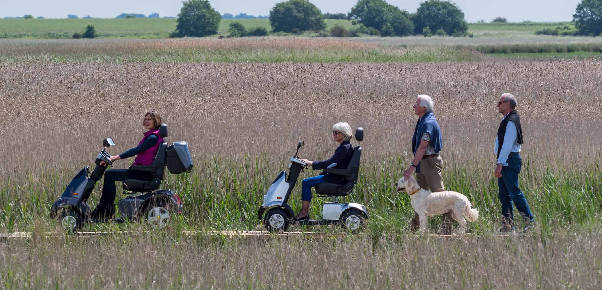 The Essential Mobility Checklist - TGA Mobility